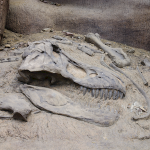 Sample Project: Digging for Dinos | MyPBLWorks